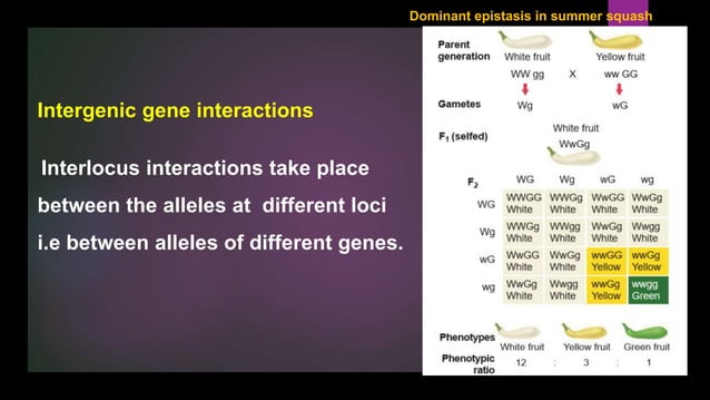 Chapter 2 classical genetics | PPTX | Gardening | Home & Garden