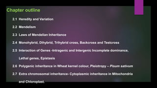Chapter 2 classical genetics | PPTX
