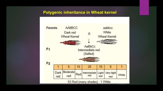 Chapter 2 classical genetics | PPTX | Gardening | Home & Garden