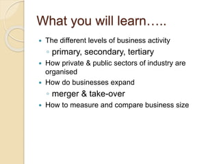 Chapter 2 classification of business | PPT