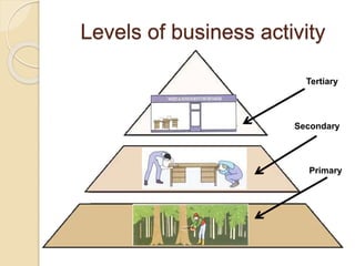 Chapter 2 classification of business | PPT
