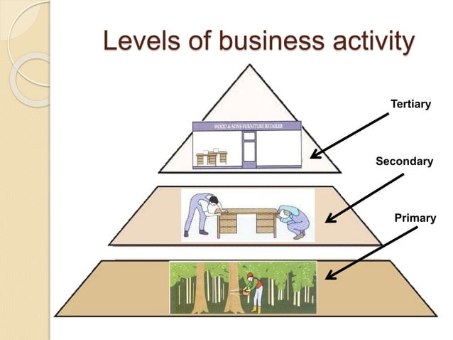 Chapter 2 classification of business | PPT