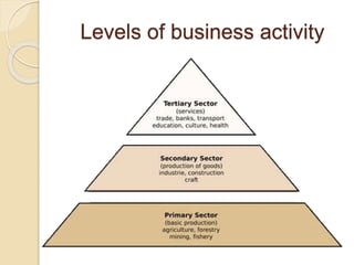Chapter 2 classification of business | PPT