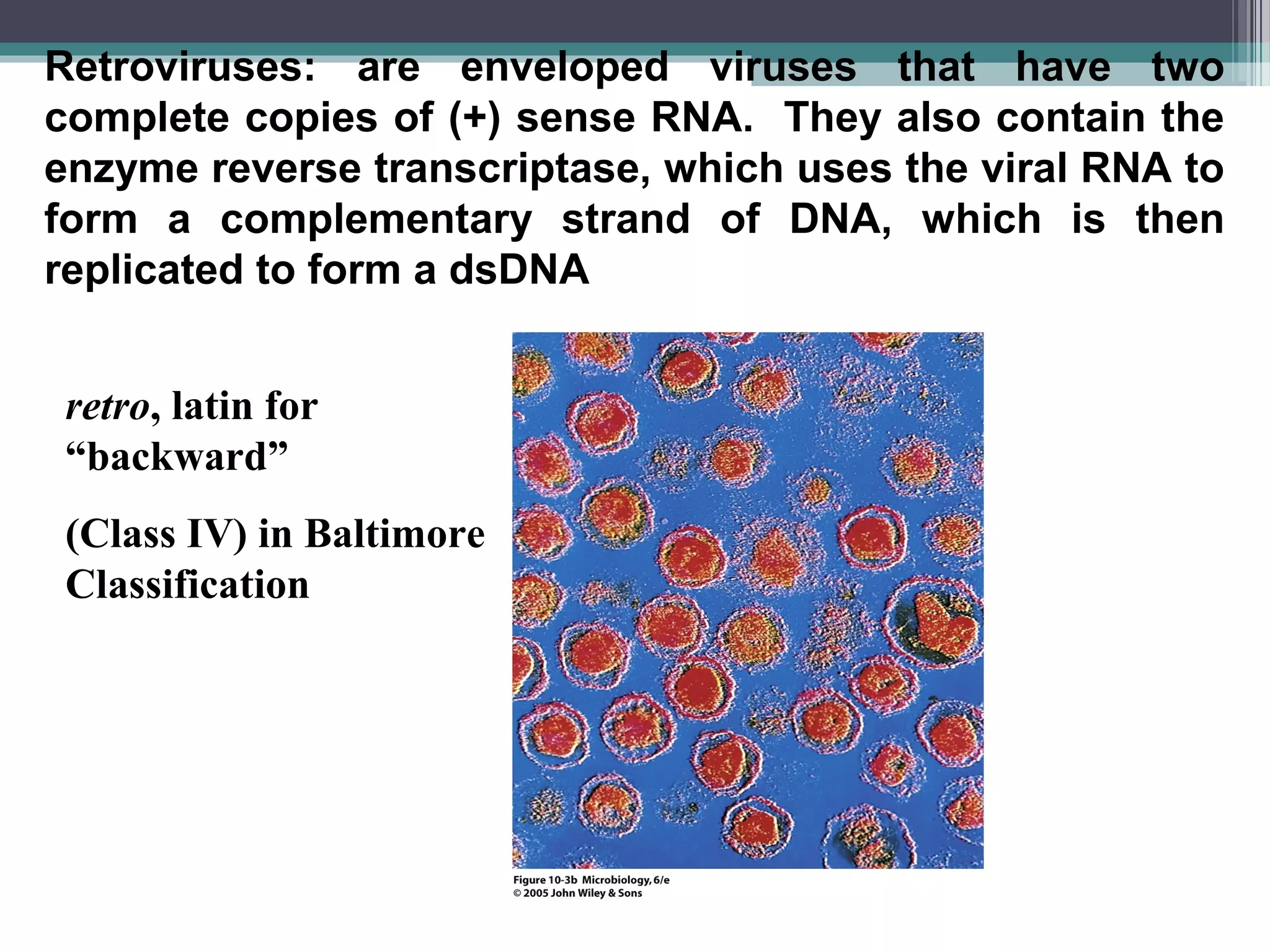 Chapter 2 classification of virus | PPT