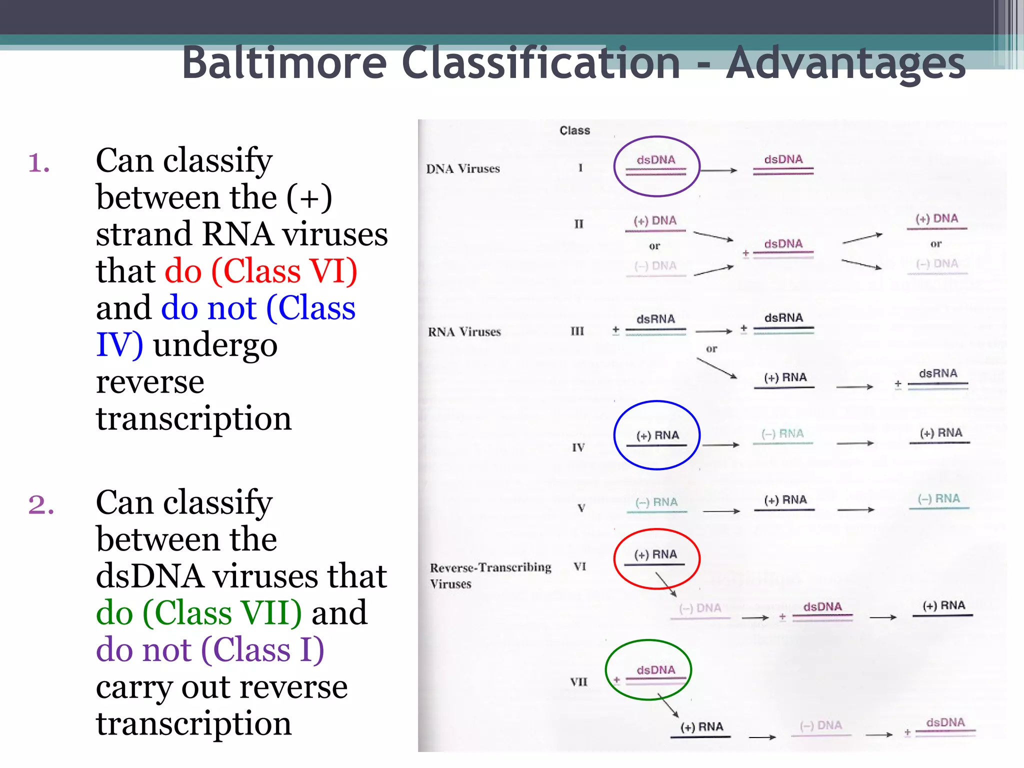 Chapter 2 classification of virus | PPT