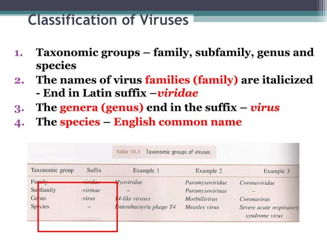 Chapter 2 classification of virus | PPT | Biological Sciences | Science