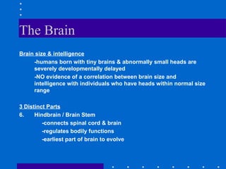 Chapter2 G E N | PPT