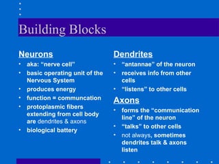 Chapter2 G E N | PPT