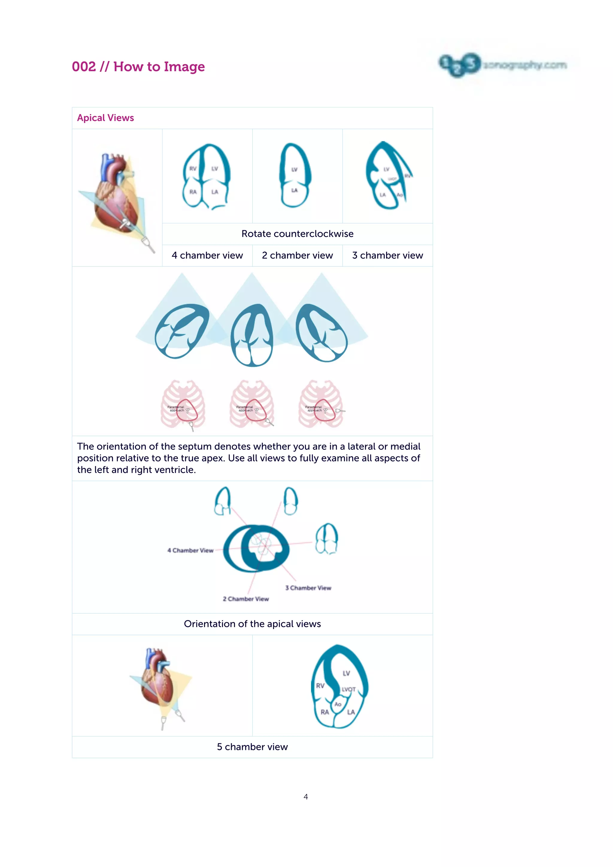 Chapter 2: How to Image Echo Views | PDF