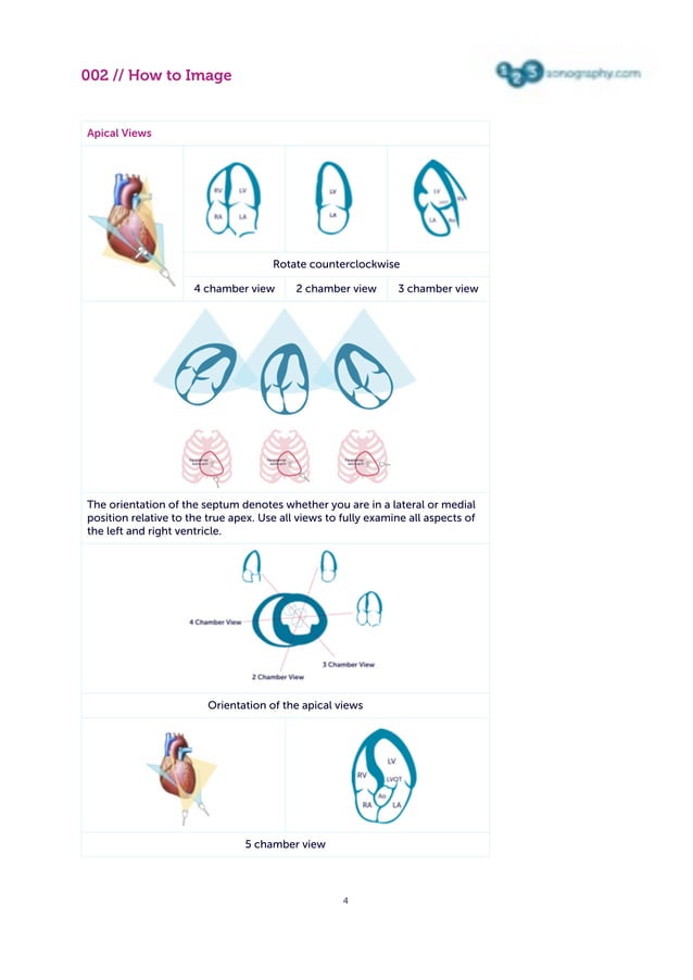 Chapter 2: How to Image Echo Views | PDF
