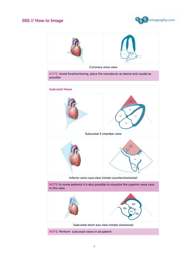 Chapter 2: How to Image Echo Views | PDF