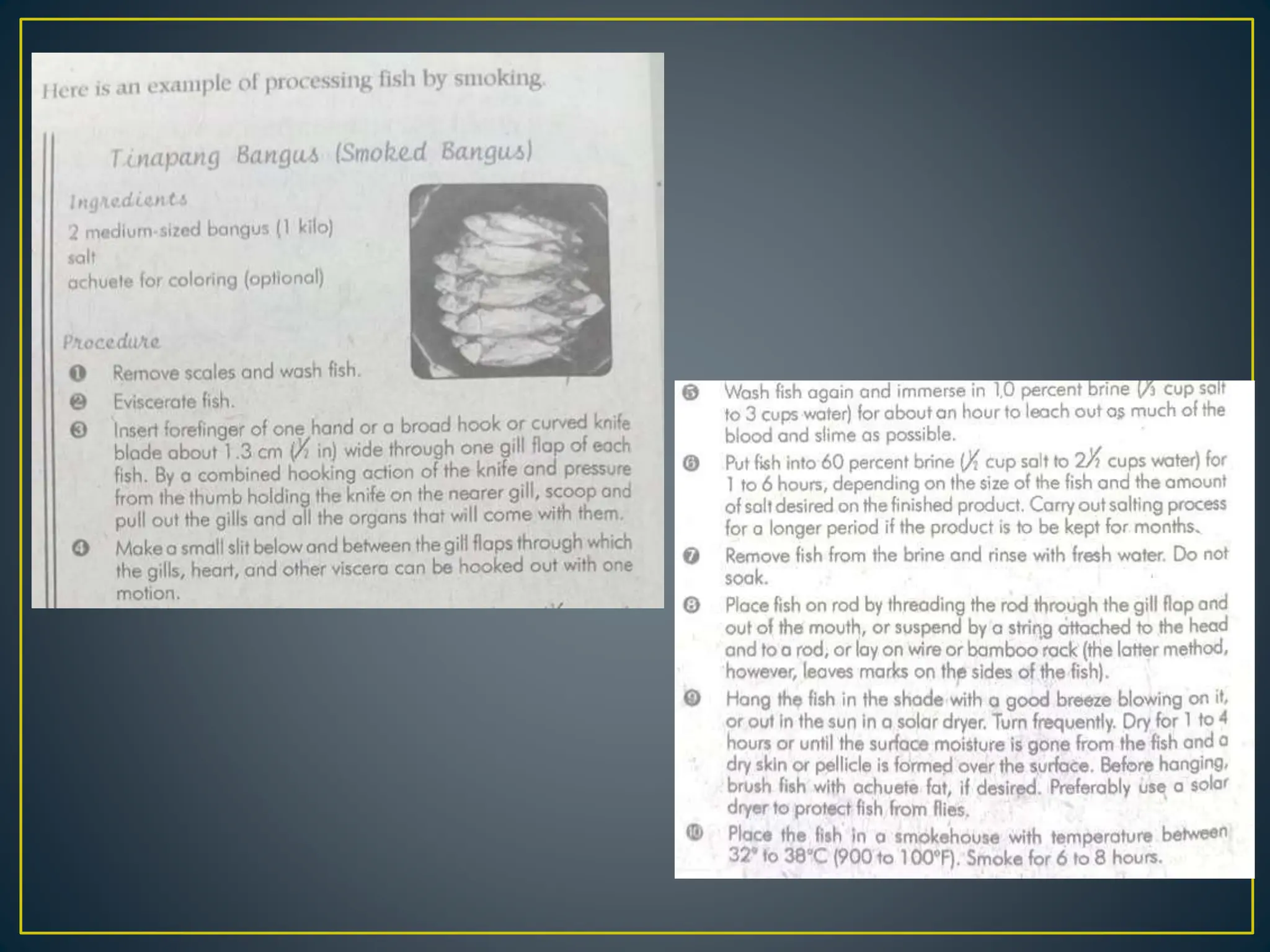 Chapter 2-L2- Fish and Shellfish Processing.pptx