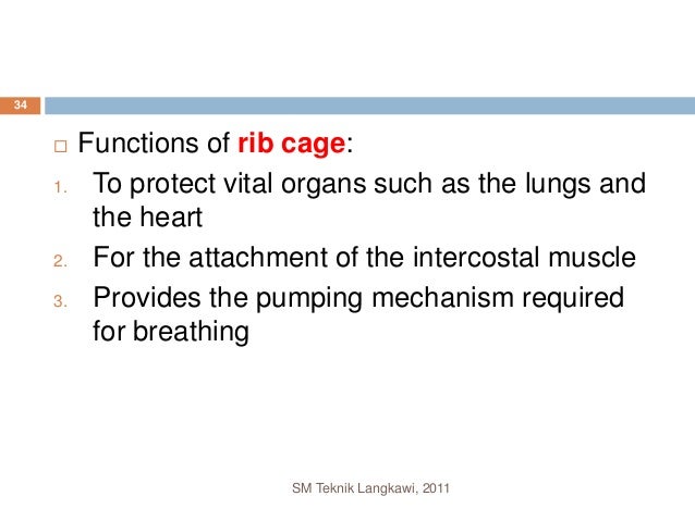 Chapter 2 locomotion and support