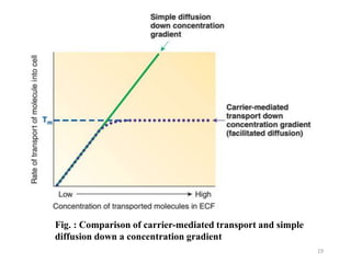 Chapter 2- Membrane physiology.power pointspptx | PPT