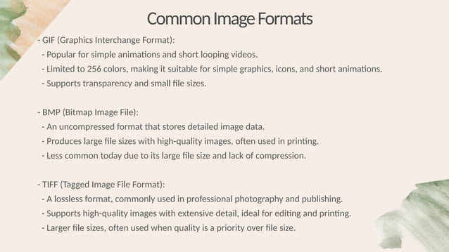 Chapter 2 - MM Data and Compression.pptx