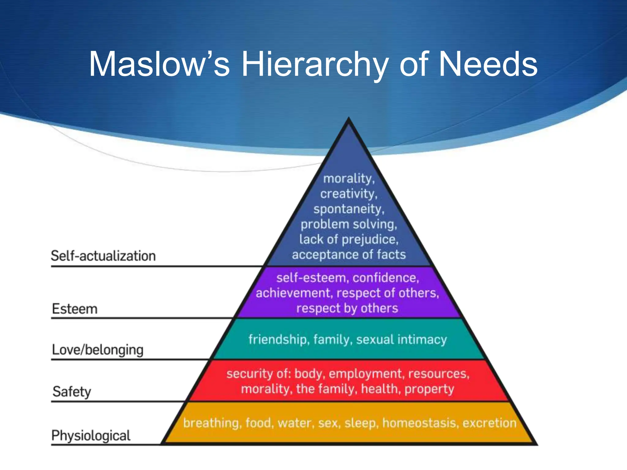 Chapter 2 - Needs and Wants.pptx