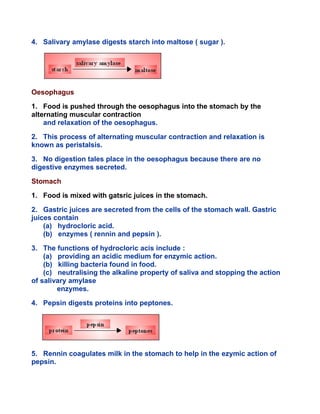 Chapter 2 nutrition | DOC