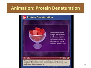 Chapter_2_-_Part_2_Chemical_Reactions.pptx