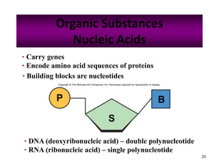 Chapter_2_-_Part_2_Chemical_Reactions.pptx