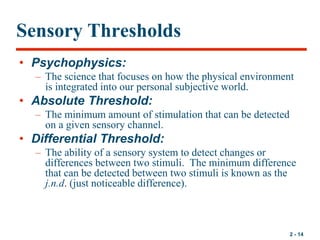 Chapter 2- Perception.ppt