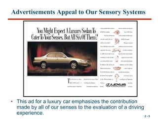 Chapter 2- Perception.ppt