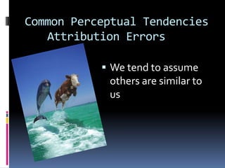 Chapter 2 Perception, The Self, And | PPT
