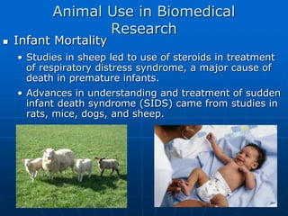 Chapter 2- research involving animals .pptx