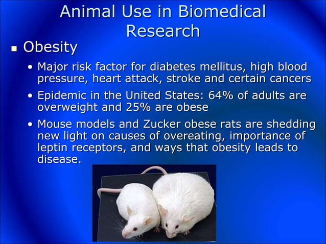 Chapter 2- research involving animals .pptx | Free Download