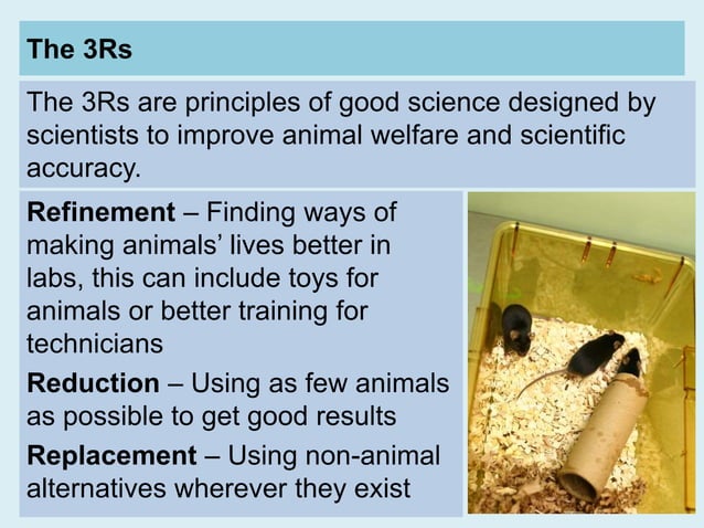 Chapter 2- research involving animals .pptx