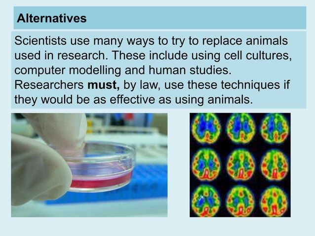 Chapter 2- research involving animals .pptx