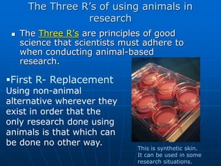 Chapter 2- research involving animals .pptx