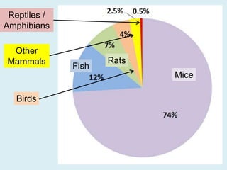 Chapter 2- research involving animals .pptx