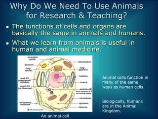 Chapter 2- research involving animals .pptx