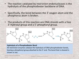 Chapter 2 restriction enzymes | PPTX