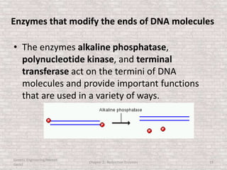 Chapter 2 restriction enzymes | PPTX