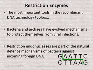 Chapter 2 restriction enzymes | PPTX