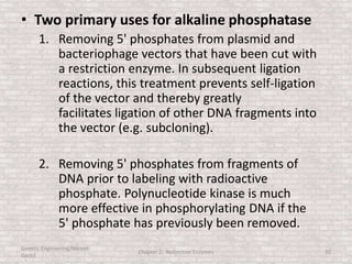 Chapter 2 restriction enzymes | PPTX