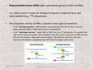 Chapter 2 restriction enzymes | PPTX