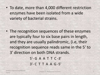 Chapter 2 restriction enzymes | PPTX