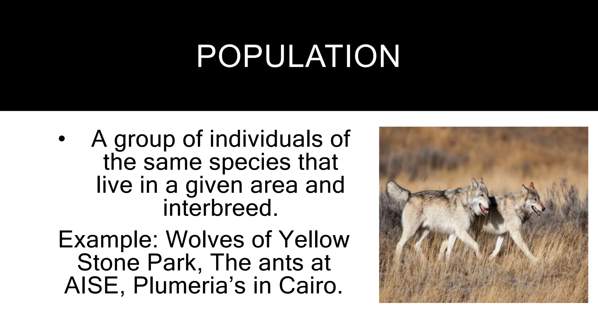 Chapter 2 - The Environment and Organisms.pptx