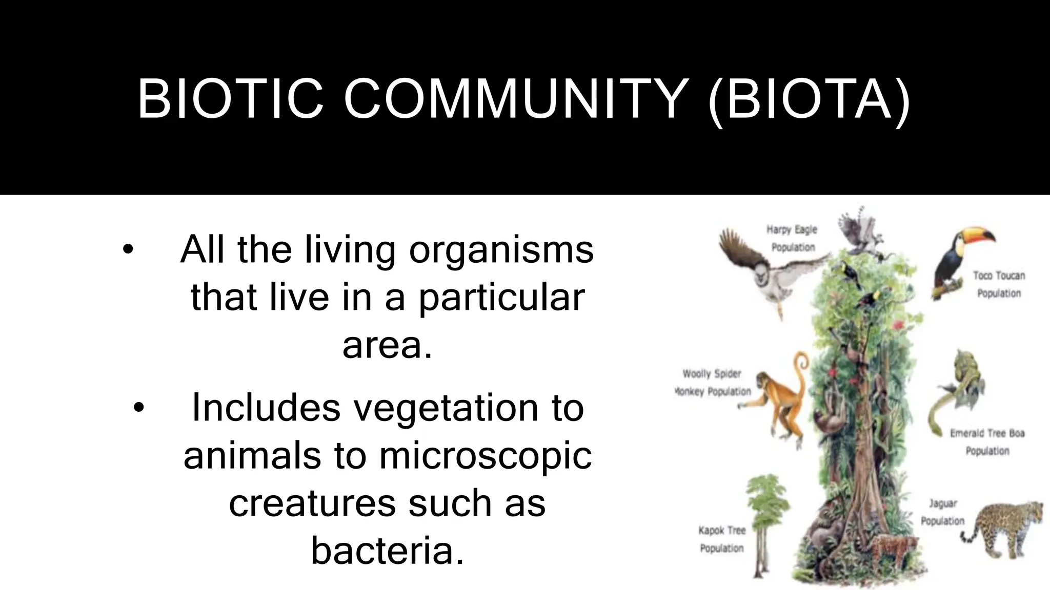Chapter 2 - The Environment and Organisms.pptx