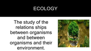 Chapter 2 - The Environment and Organisms.pptx