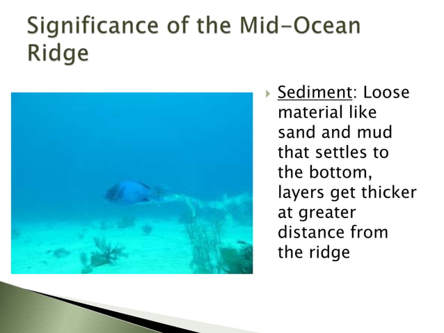 Chapter 2 - The Sea Floor | PPTX | Geography | Science