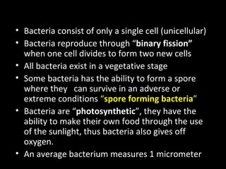 Chapter 2 Understanding Microorganisms | PPT