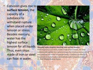 Chapter 2: Water, the unique solvent of life | PPSX