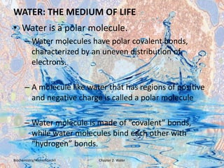 Chapter 2: Water, the unique solvent of life | PPSX