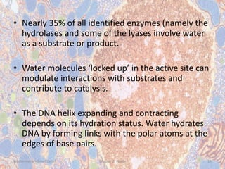 Chapter 2: Water, the unique solvent of life | PPSX