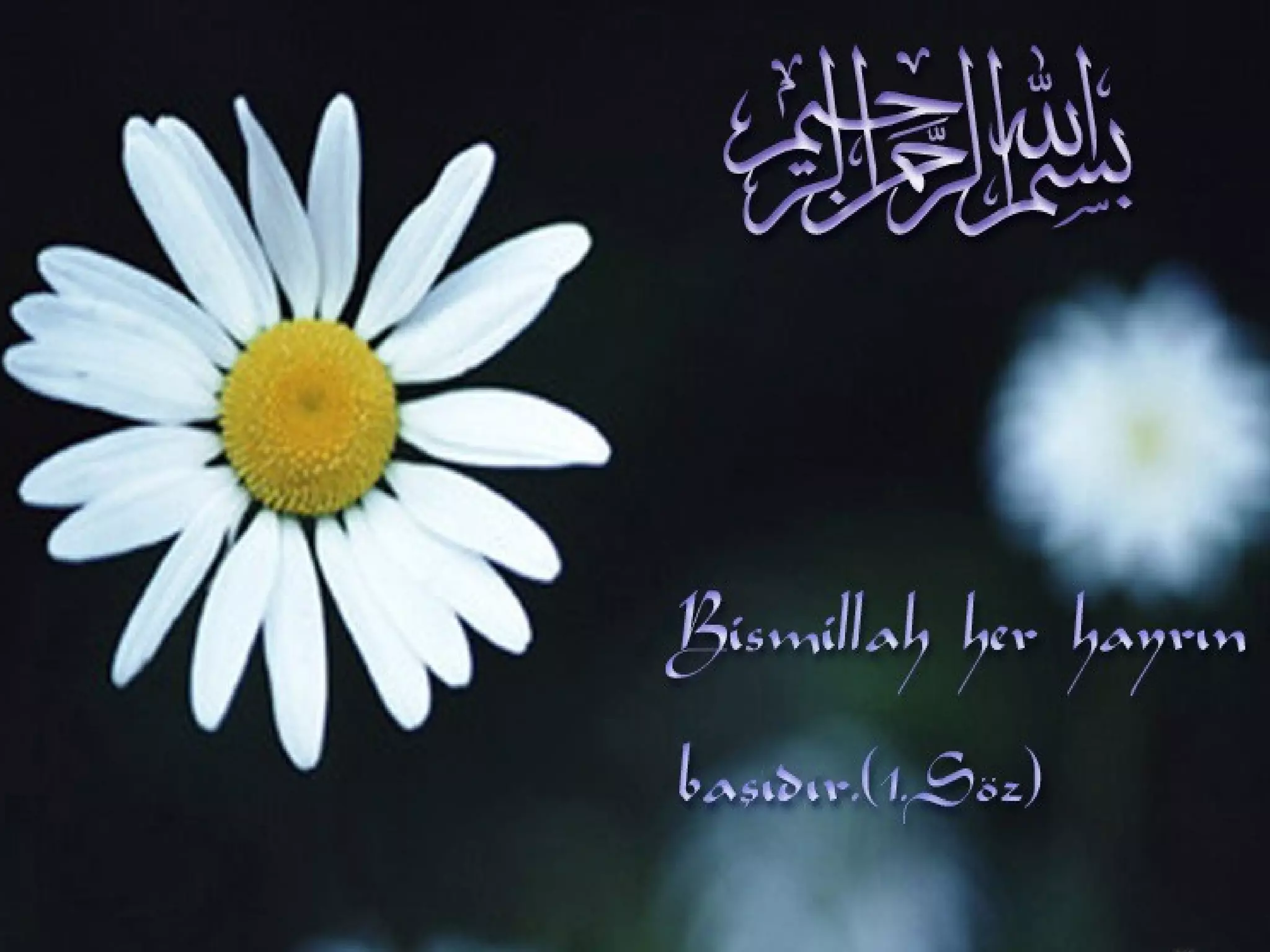 Chapter 2 wireless and personal communication systems | PPT