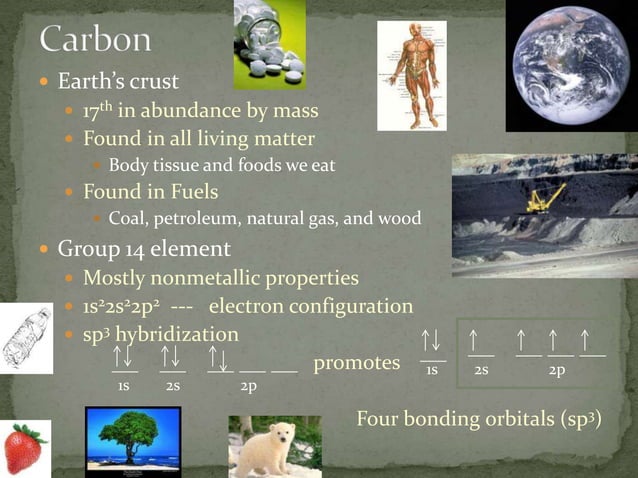 Chapter 20.1 : Introduction to Carbon and Organic Chemistry | PPTX