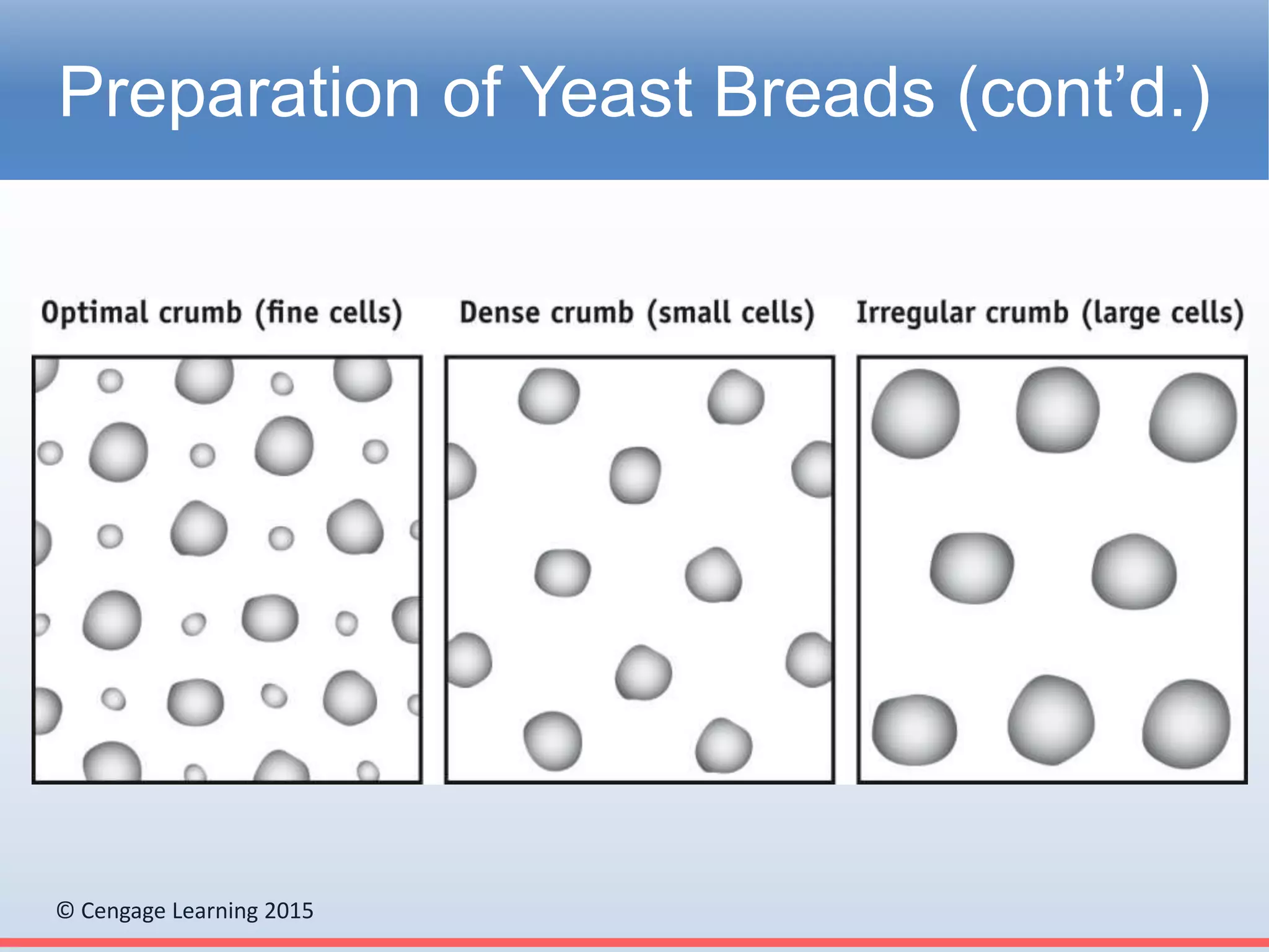 Chapter 20 - Yeast Breads | PPT